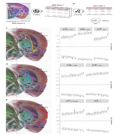 The Process To Obtain Trajectory Based Transition Gene Sets For 3d 1