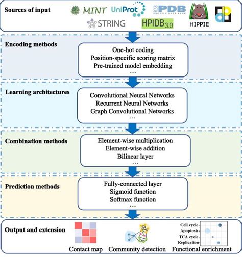 Deep Learning Frameworks For Protein Protein Interaction Prediction Pmc