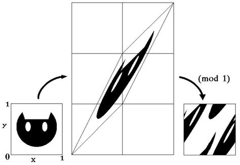 19 Graphical Representation Of The Arnolds Cat Map Download