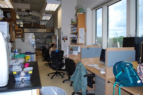 andersen lab our lab