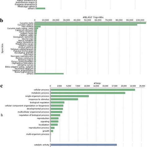 Transcript Size Distribution For C Grandis Flower Bud Transcriptome
