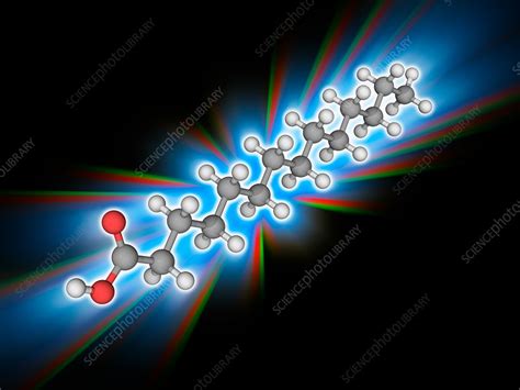 Myristic Acid Tetradecanoic Acid Molecule Stock Image F017 0526 Science Photo Library