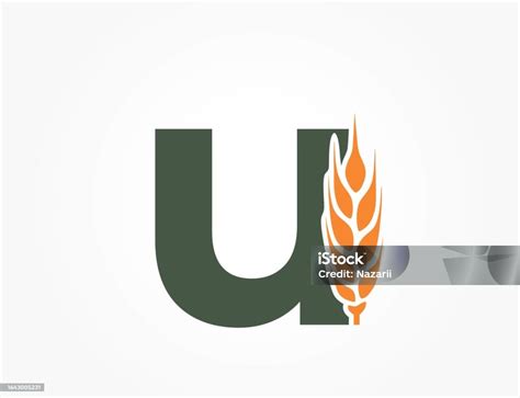 밀 귀가 있는 소문자 U 수확 및 유기농 식품 알파벳 로고 기호입니다 곡물 농업과 농업 이미지 가을에 대한 스톡 벡터 아트 및 기타 이미지 Istock