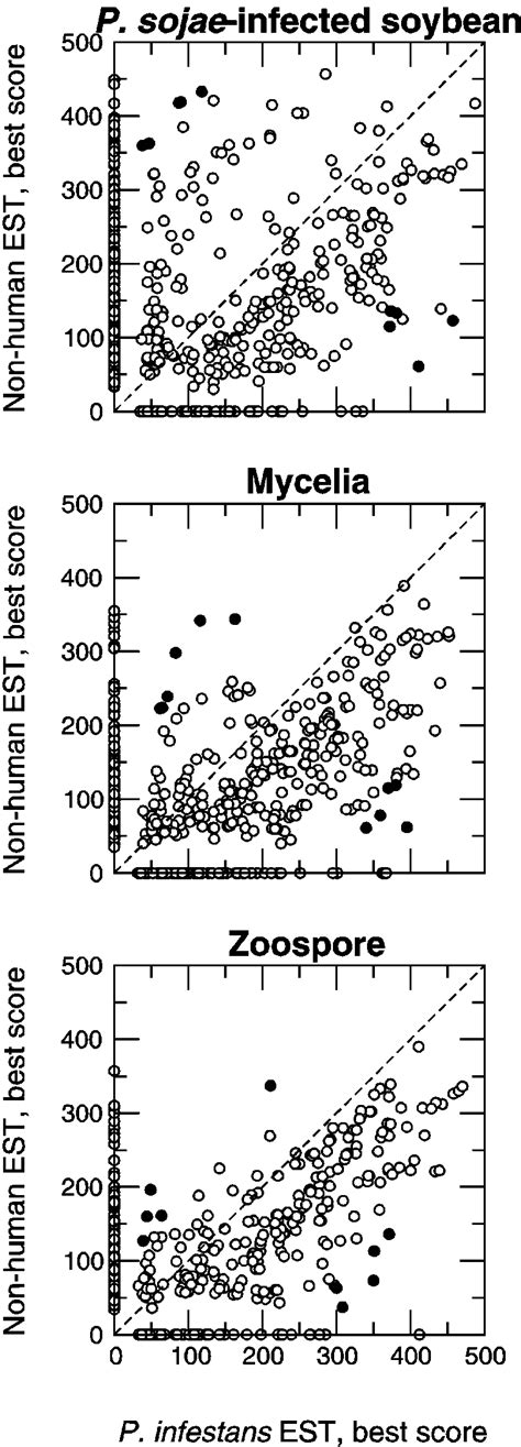 Comparative Analysis Of Ests Derived From Each Of The Source Cdna