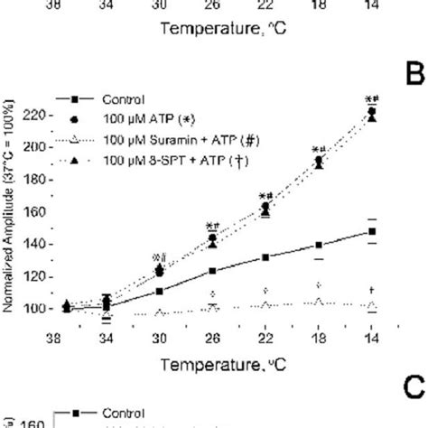 Temperature Dependency Of The Amplitude Of Carbachol Induced