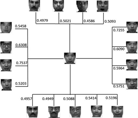 Similarity On Yale Data Set Through Gaussian Kernel Function Download Scientific Diagram