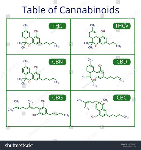 2 078 Cannabinoid Molecule Structure Royalty Free Photos And Stock Images Shutterstock