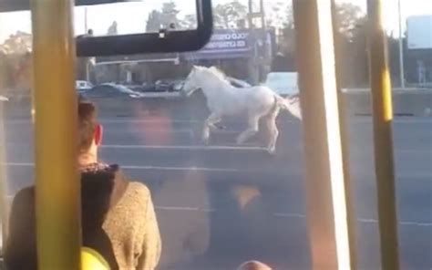 “后来才明白，少一节课又怎么了，人生不就是一直在上课吗” 薄情小哥哥丶 薄情小哥哥丶 哔哩哔哩视频