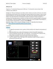 Diffusion Lab Version B Pdf KRAUS Fides Sophia Professor Lampley Diffusion Lab