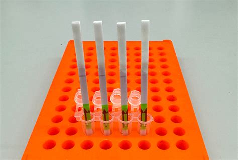 Simple Test For Flu Could Improve Diagnosis And Surveillance Broad Institute