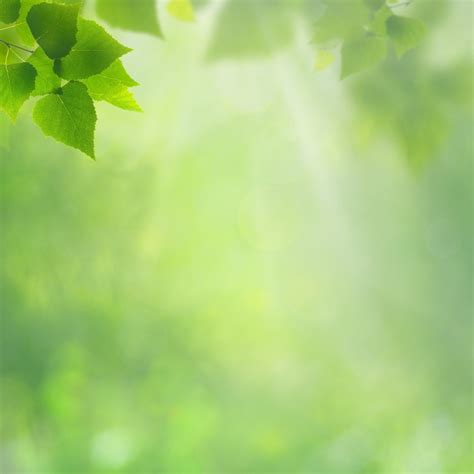 Algebra 1 Chapter 4 Chiangmath