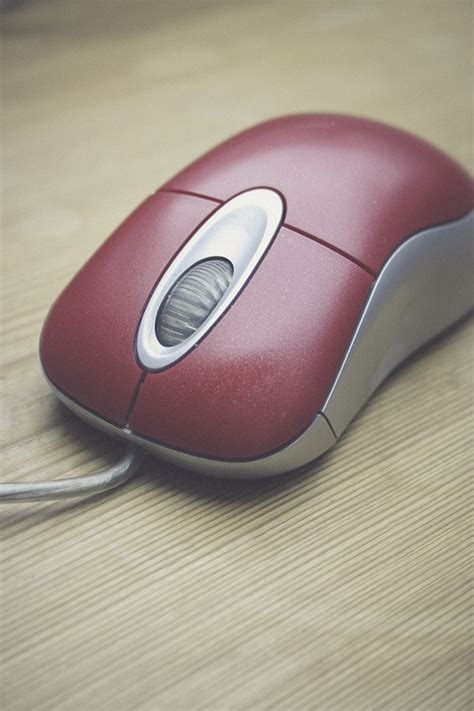 mouse computer input · free photo on pixabay