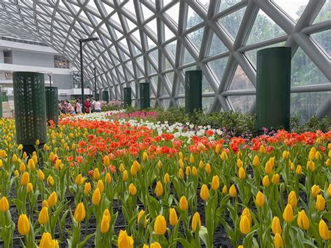 สวนดอกไม้ระยอง Miracle Of Natural เปิดให้เข้าชมฟรี