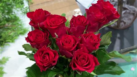 비탈 장미 생화 꽃집 꽃집창업 꽃값 온라인꽃시장 온라인꽃도매 인터넷꽃시장 인터넷꽃도매 서울꽃시장 꽃농장 꽃배송 생화배송 생화도매