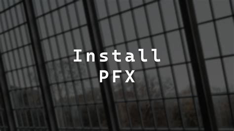Install Pfx Certificate In Windows Thedxt