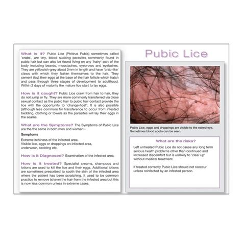 Dandwp Safer Sex Box Version 2 Reload