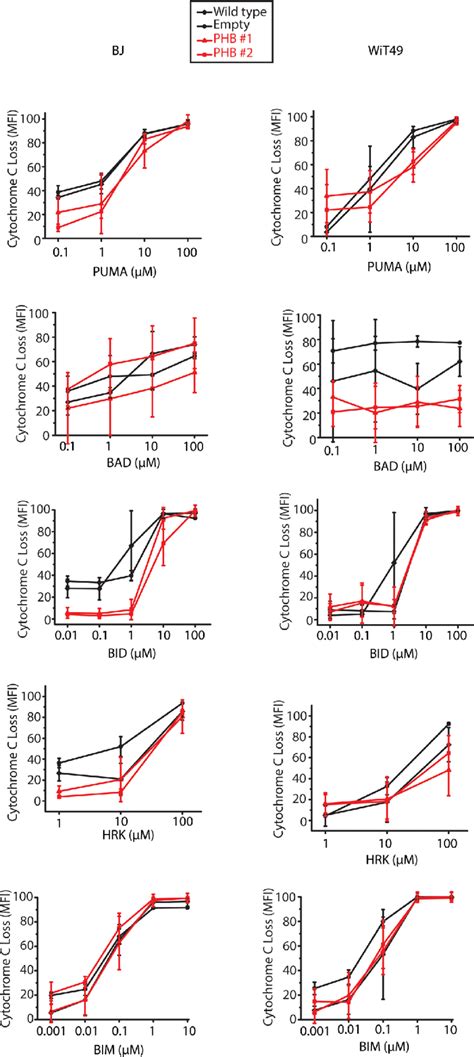 Bh3 Profiling Reveals Globally Decreased Apoptotic Priming In Response Download Scientific