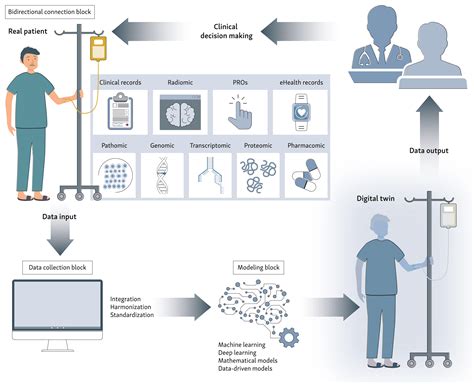 Digital Twins A New Paradigm In Oncology In The Era Of Big Data Esmo Real World Data And