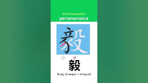 Chinese Writing “perseverance Entschlossenheit ” Step By Step