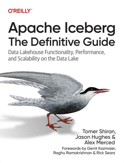 3 Lifecycle Of Write And Read Queries Apache Iceberg The Definitive