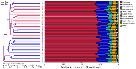 Unweighted Pair Group Method With Arithmetic Mean Upgma Download Scientific Diagram