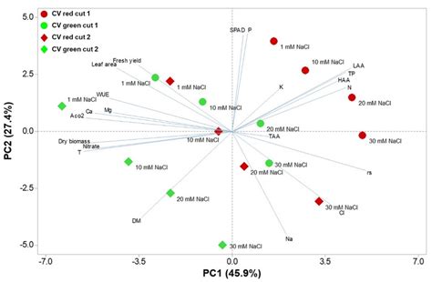 Principal Component Loading Plot And Scores Of Principal Component