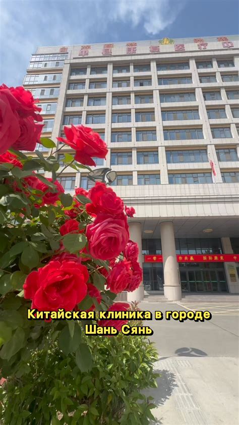Реабилитационная клиника в Китае 单县康复医院 Shanxian Clinic • Instagram Photos And Videos