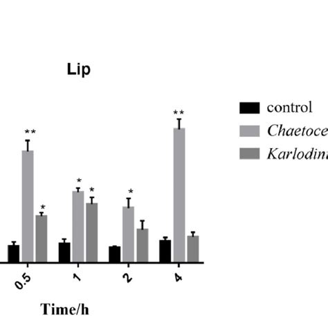 The Structure Of Rpcl Predicted By Rosettafold The N And C Terminal Download Scientific