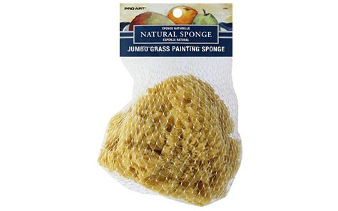 Pro Art Sponge Natural Grass 1 Large Model Pa 341246 Michaels