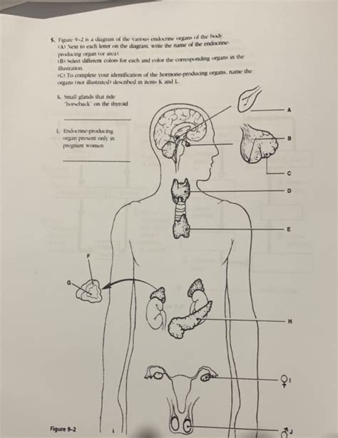 5 Figure 9 2 Is A Diagram Of The Various Endocrine Organs Of The Body A Next To Each Letter On