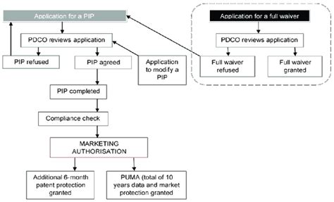 Overview Of Current Paediatric Investigation Plan Pip Application