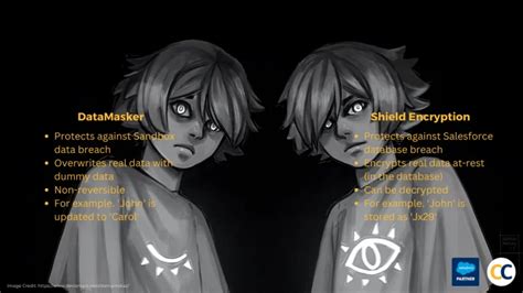 Salesforce Shield Encryption Vs Salesforce Data Masking