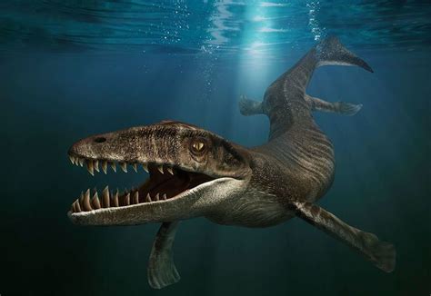 Dakosaurus Alchetron The Free Social Encyclopedia