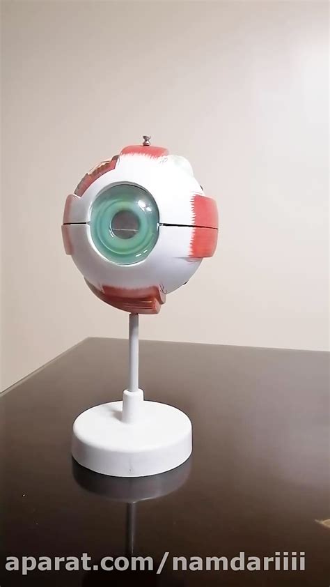 آزمایش علوم درس6 چشم پایه پنجم