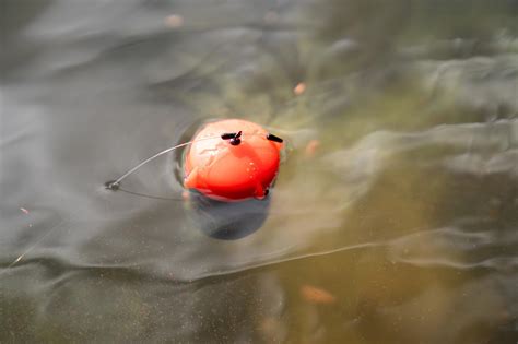 Korum Floating Feeder The Tackle Store Korum Floating Feeder The Tackle Store