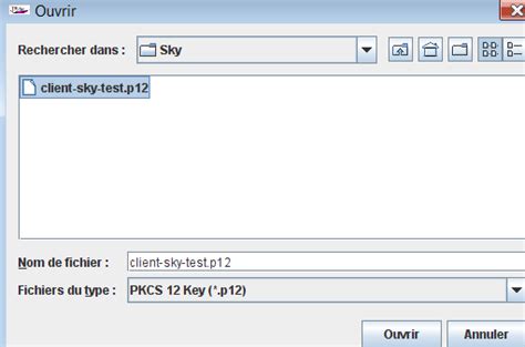 JMeter Site Avec Authentification Par Certificat SSL MilamberSpace Apache JMeter