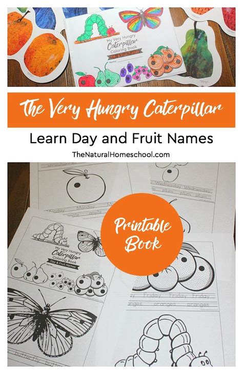 The Very Hungry Caterpillar Craft ~ Day And Fruit Names Prin Very