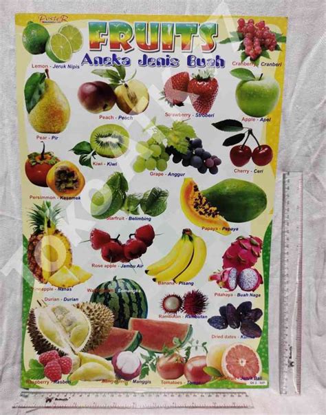 Jual Poster Makanan Khas Tradisional Adat Daerah Propinsi Nusantara Poster Lainnya Per Lembar