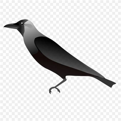 Crows Clipart Free