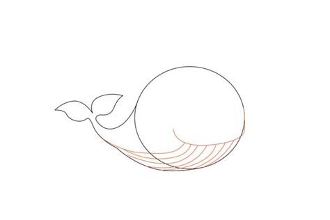 Whale Drawing Easy Simple Cute