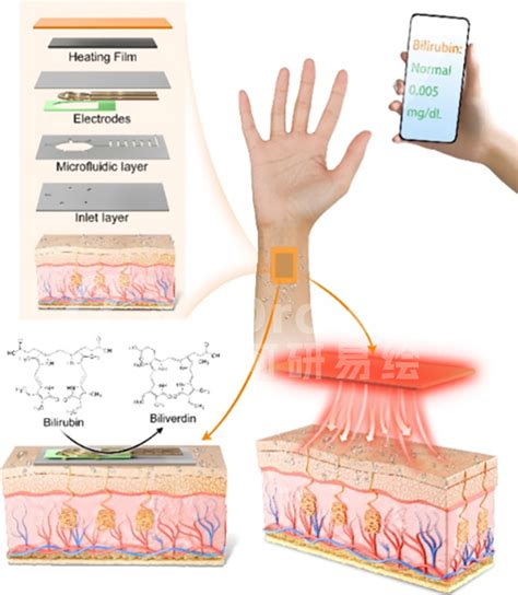 配图作品 长沙可研易绘信息科技有限公司 科研绘图 期刊封面设计 论文插图设计 科学动画 绘图培训