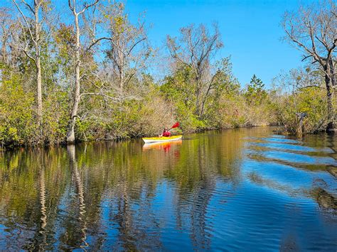 Visiting Okefenokee The Swamp Home To 15000 Alligators And A Floating