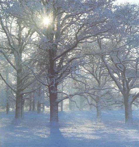 5 ways to predict snow hubpages