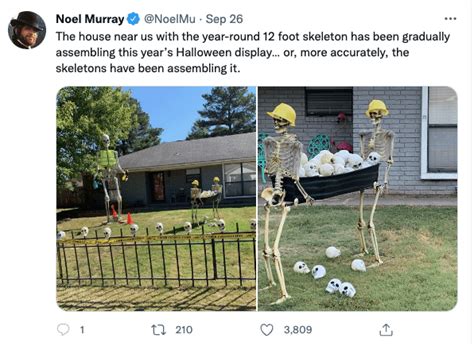 Bidey Bones R Mbmbam