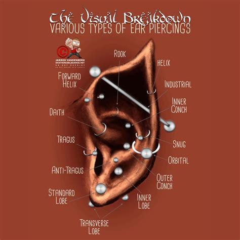 Elven Ear Piercing Chart Ear Piercings Chart Ear Piercings Piercing