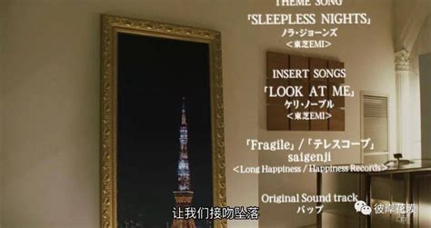 《东京塔·2005》，大概是真爱 搜狐大视野 搜狐新闻