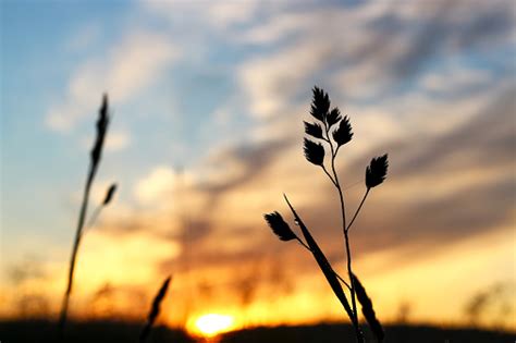 하늘에 여러 가지 빛깔의 구름이 있는 초원 위에 안개가 자욱한 일출 그림 같은 시골 풍경 안개 낀 아침 자연에서 색상 세상의 아름다움 0명에 대한 스톡 사진 및 기타 이미지