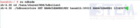 HANA Housekeeping Dengan Script Python SAP Business One Indonesia