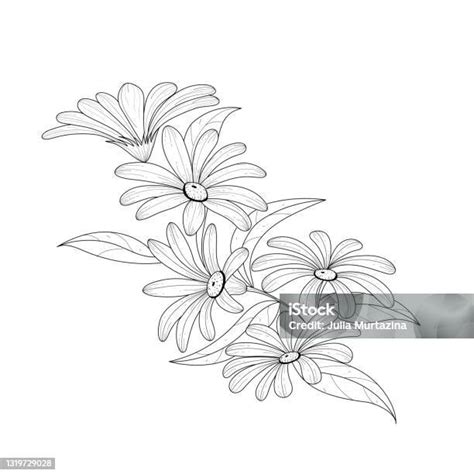 식물 학적 그림 거베라 꽃 흑백 꽃꽂이 흰색 배경에 꽃 선형 아트의 손 그림을 스케치합니다 벡터 일러스트레이션 거베라데이지에 대한 스톡 벡터 아트 및 기타 이미지 Istock