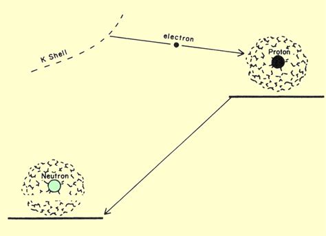 Radioactive Transitions